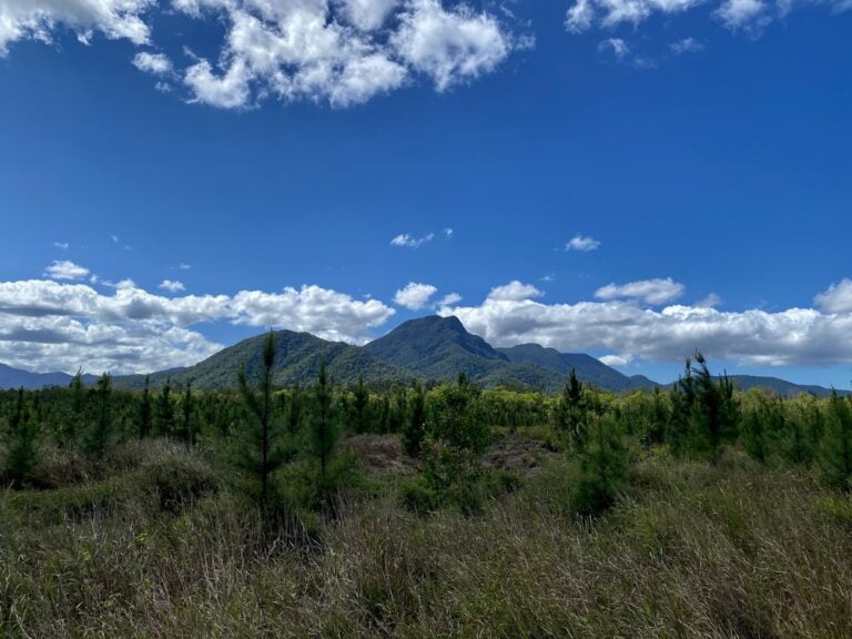 Raspberry Falls - Townsville Hike and Explore
